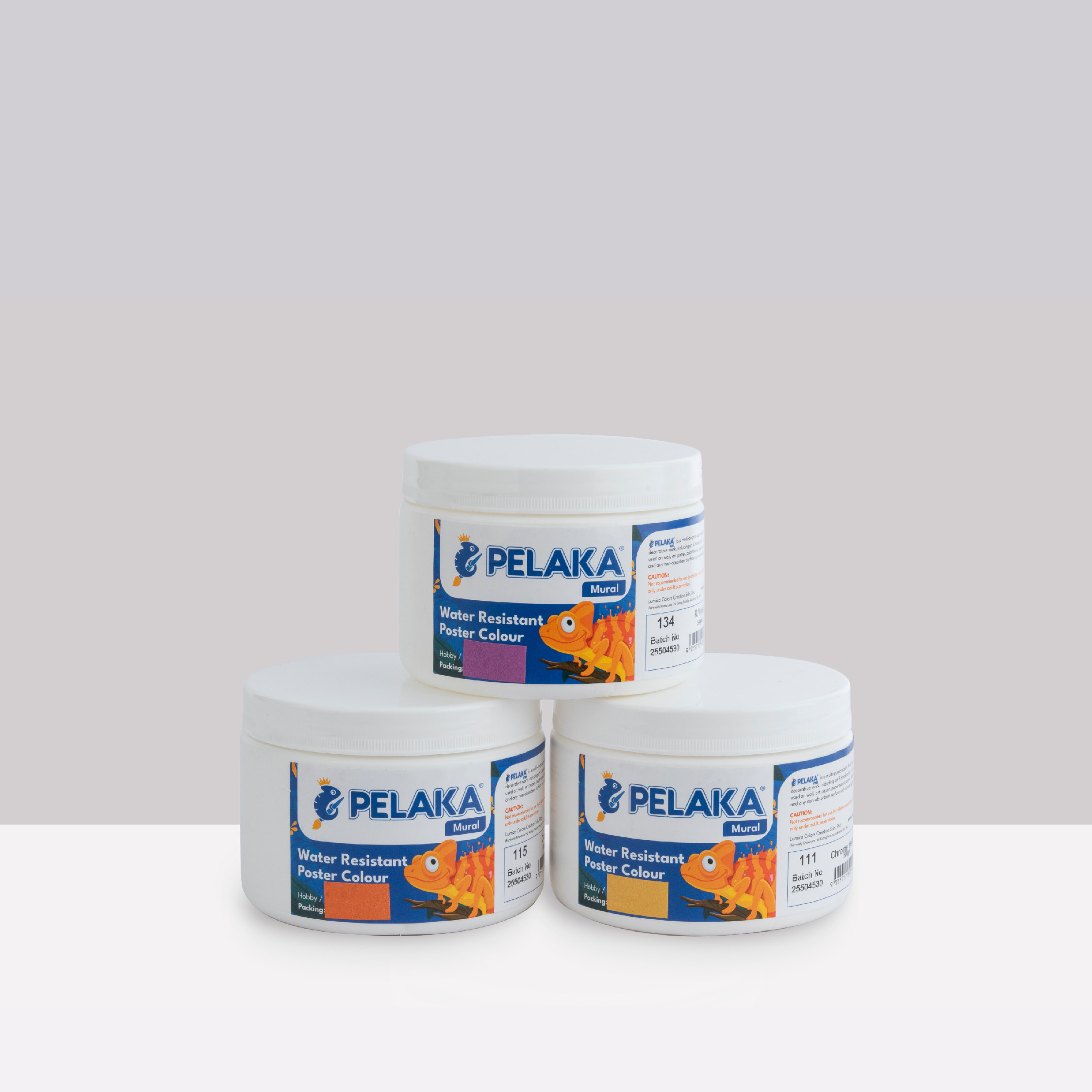 Pelaka Mural Colour Paint – 500gm – Pelaka